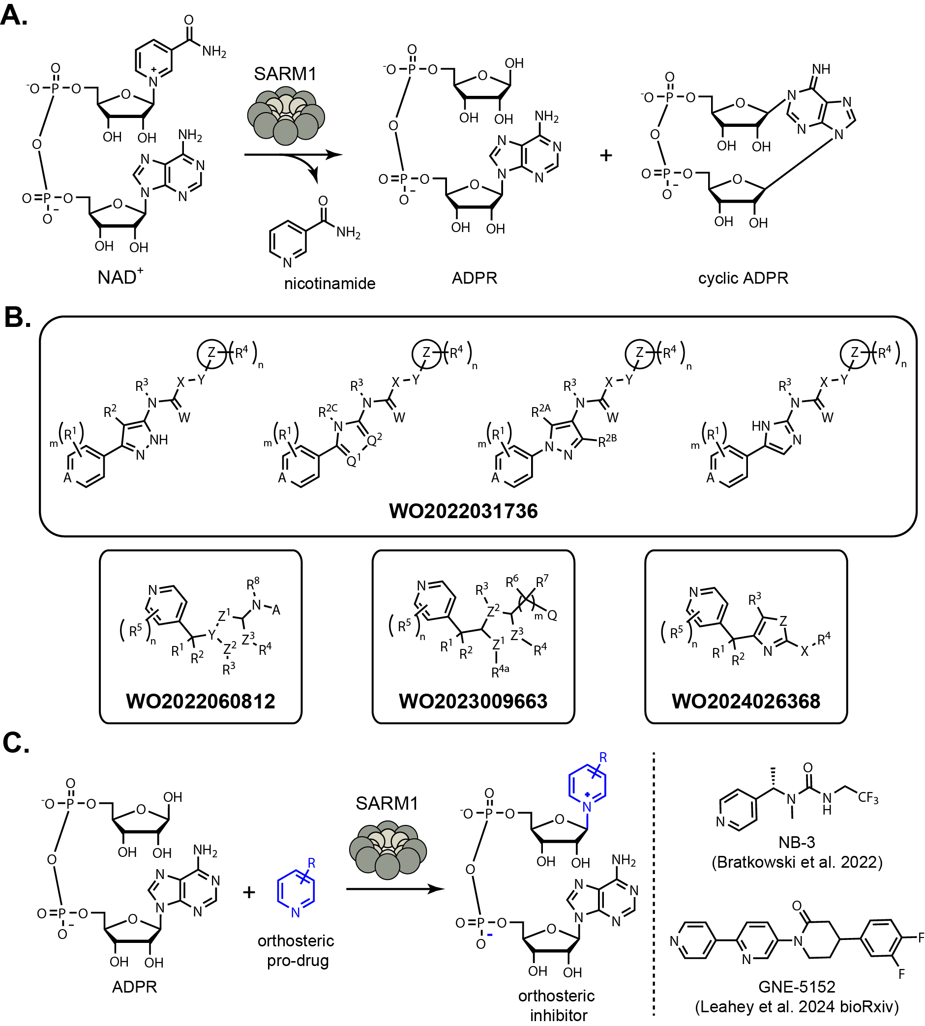 ChemJam-SARM1
